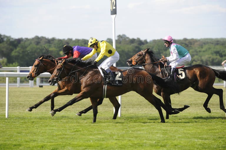 34,989 Horse Racing Screensaver Stock Photos - Free & Royalty-Free ...