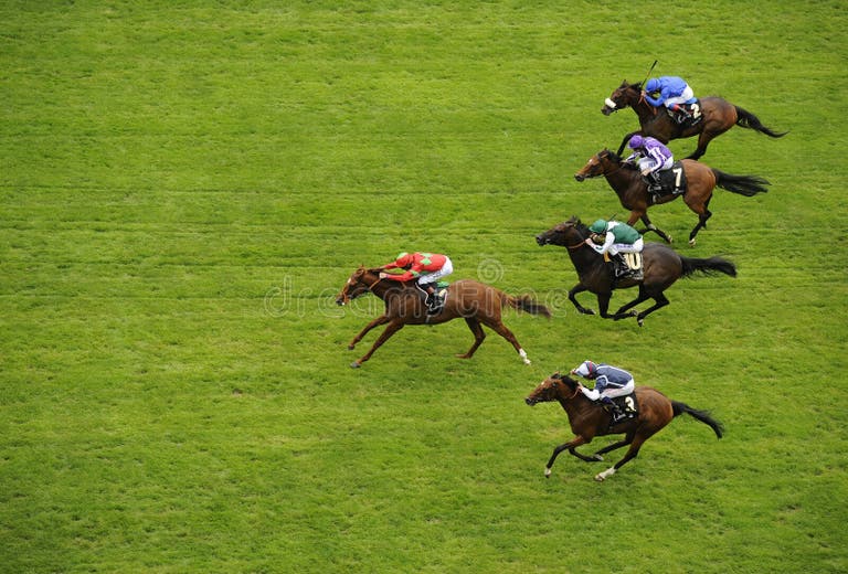 34,989 Horse Racing Screensaver Stock Photos - Free & Royalty-Free ...