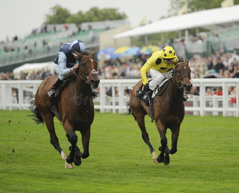 34,989 Horse Racing Screensaver Stock Photos - Free & Royalty-Free ...