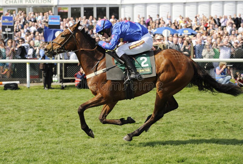 Horse Racing editorial photography. Image of racing, champion - 21558852