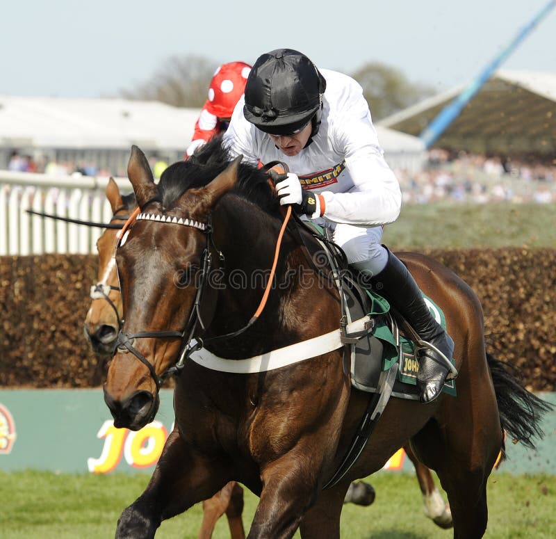 Horse Racing editorial photography. Image of competition - 21558957