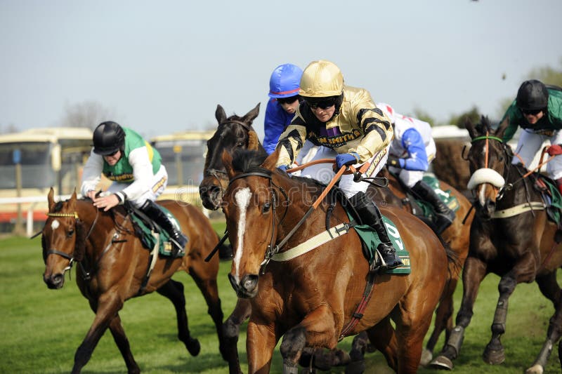 Horse Racing editorial stock photo. Image of speed, event - 21559478