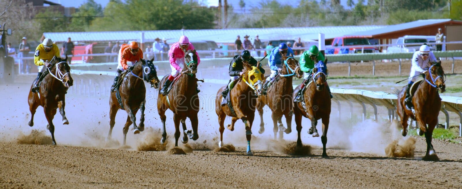 Horse Racing editorial stock image. Image of riding, royal - 21227619