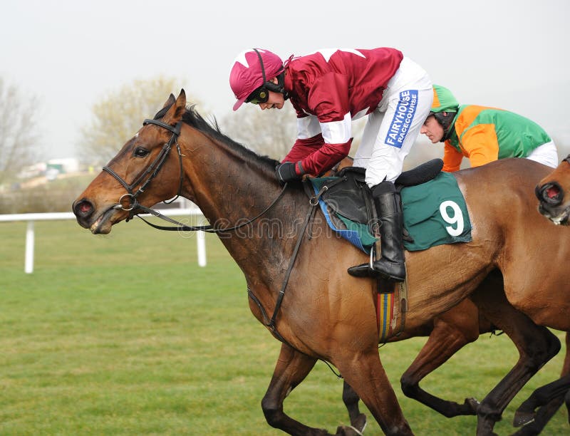 Horse Racing editorial image. Image of track, champion - 24262540