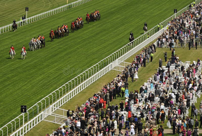 Horse Racing editorial stock photo. Image of race, fences - 25212753