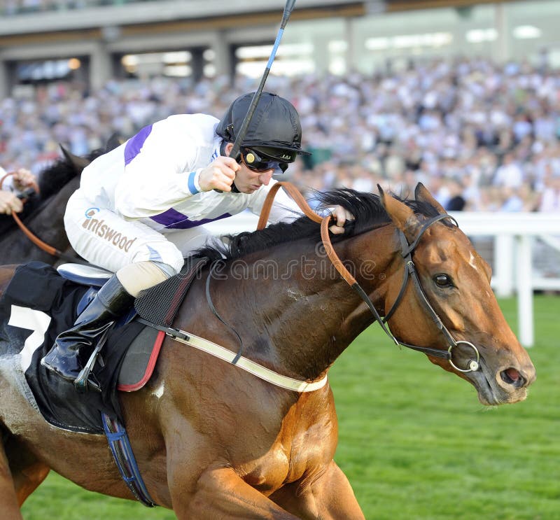Horse Racing editorial image. Image of winning, horse - 25213445