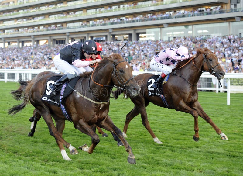 Horse Racing editorial photo. Image of fence, horse, sport - 25213701