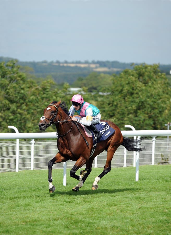 Horse Racing editorial stock image. Image of speed, competition - 26136104