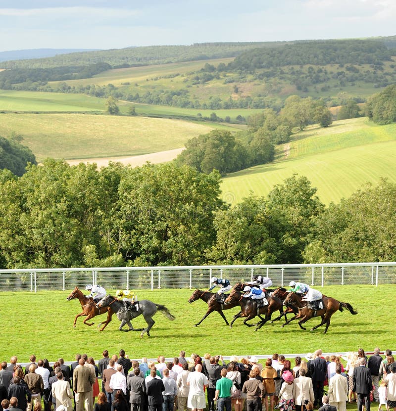 Horse Racing Grass Angle Photo Editorial Image - Image of dangerous ...
