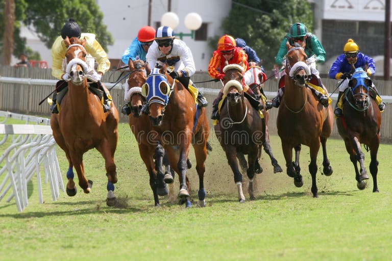 34,989 Horse Racing Screensaver Stock Photos - Free & Royalty-Free ...