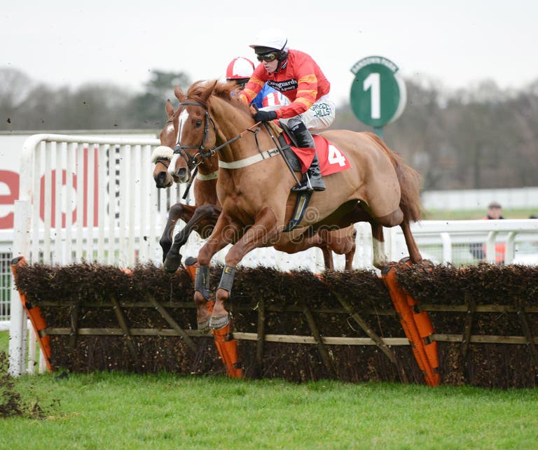 Horse Racing editorial stock image. Image of jockey, race - 28783754