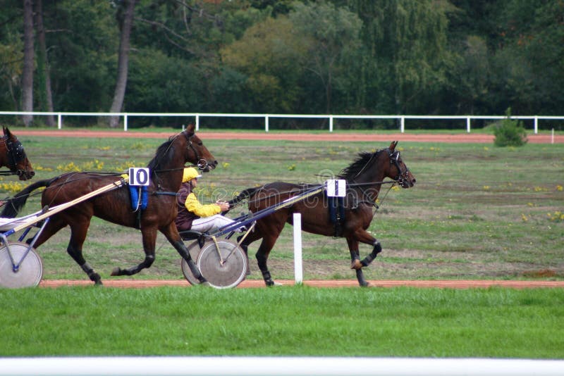 Man and horse stock image. Image of racecourse, jockey - 682361