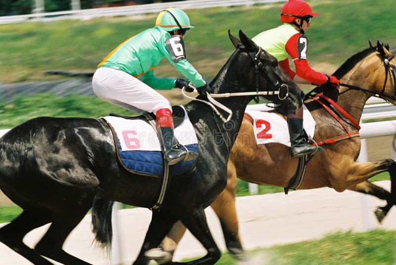 Two horses racing stock photo. Image of competition, leading - 14477590