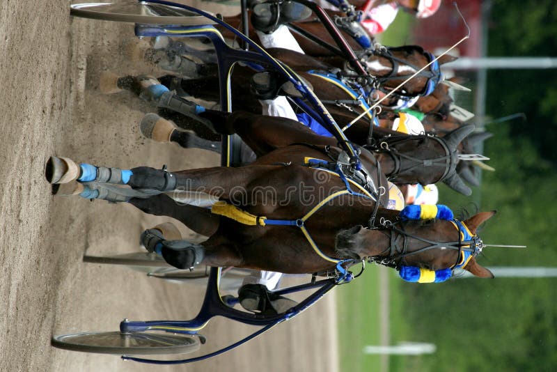 Standardbred Horse Race editorial photo. Image of colt - 12753576