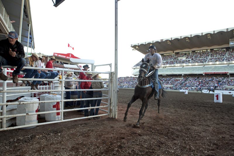 Horse Racing at Calgary Stampede Editorial Stock Photo - Image of ...