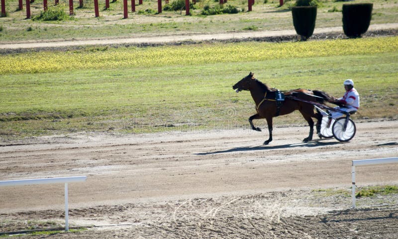 Horse racing editorial photography. Image of betting - 49649797