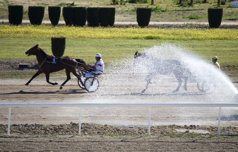 Horse racing editorial stock image. Image of grass, harness - 49649924