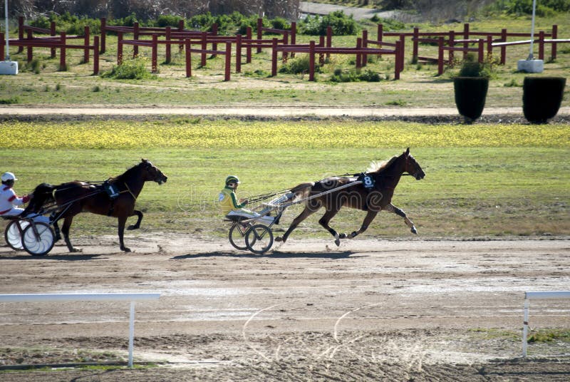 Horse racing editorial stock image. Image of harness - 49650144