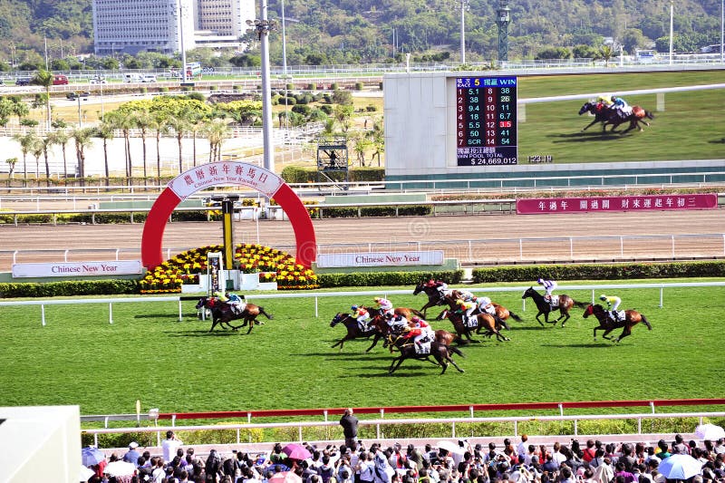 Horse racing competition editorial photo. Image of color - 37749531