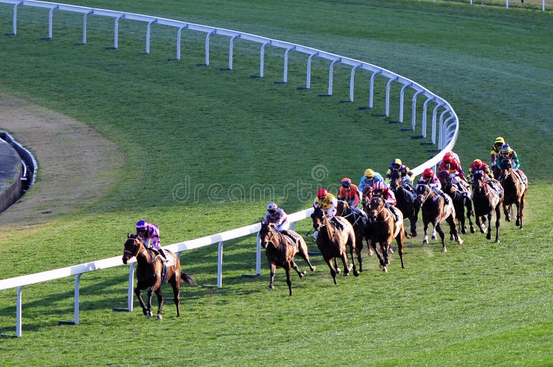 Horse racing competition editorial photography. Image of competition ...