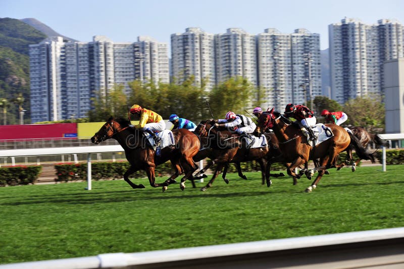 Horse racing competition editorial stock image. Image of competition ...