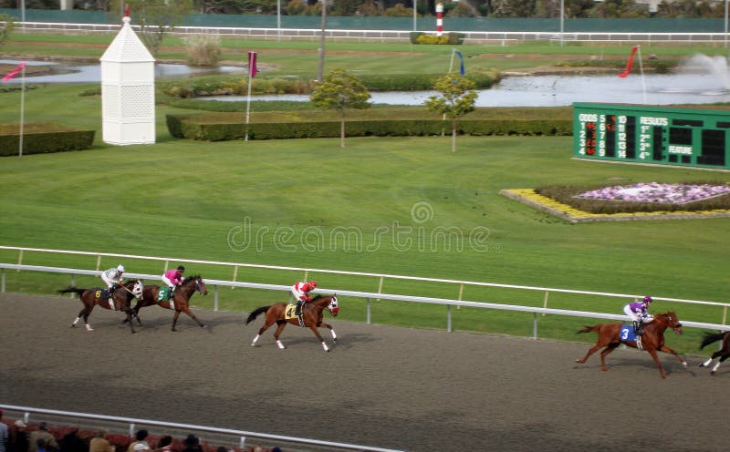 Horse Racing at Golden Gate Fields Editorial Stock Image - Image of ...