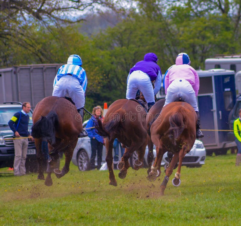 Horse Racing Jumping Fence - Peper Harow Editorial Stock Image - Image ...