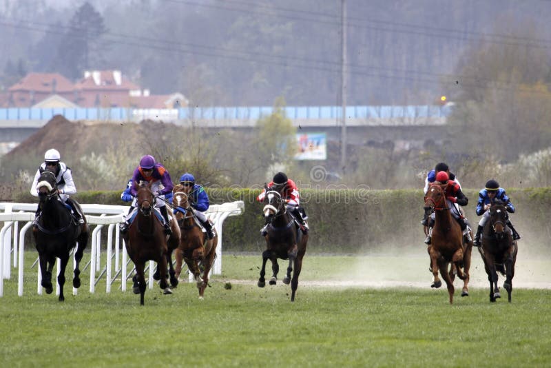 Horse Racing - June Grand Prix in Prague Editorial Photography - Image ...