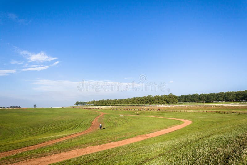 Horse Racing Riders Training Landscape Stock Photo - Image of tracks ...