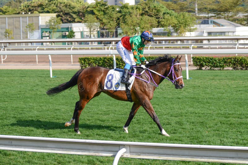 Horse racing in Shatian editorial photography. Image of enjoy - 37475827