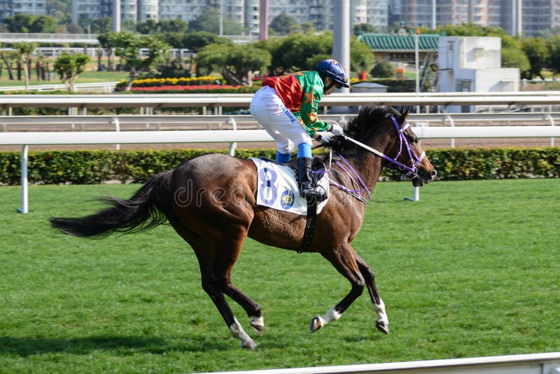 Horse racing in Shatian editorial photo. Image of horse - 37475856