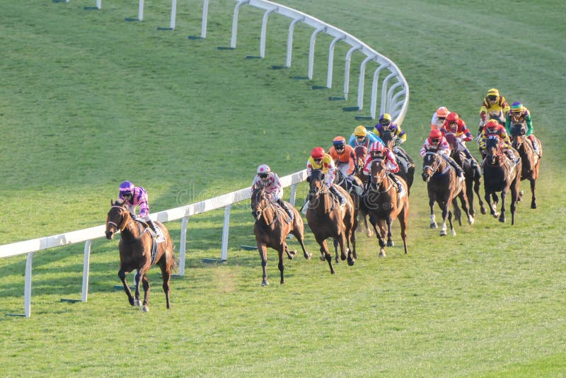 Horse racing in Shatian editorial photography. Image of stinging - 37475877