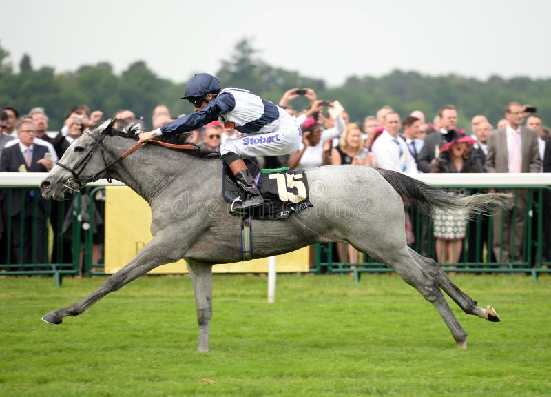 Horse racing editorial photo. Image of competition, ascot - 32246826