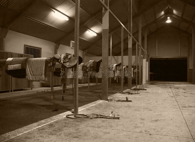 Horse racing stable stock photo. Image of training, sports - 12319946