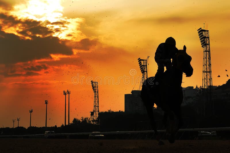 Horse racing at sunset stock photo. Image of jockey, green - 25107758