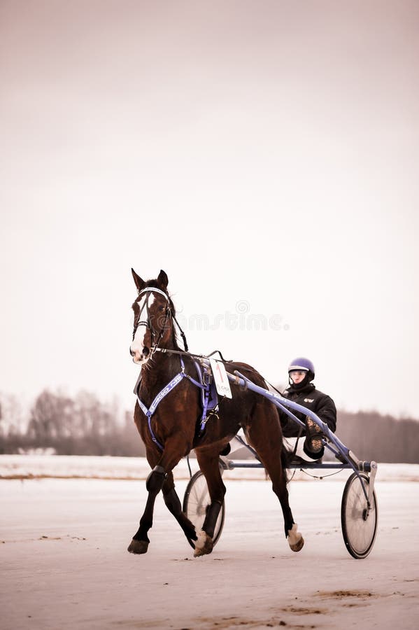 Horse Racing in the Winter on Ice Editorial Image - Image of high, lake ...
