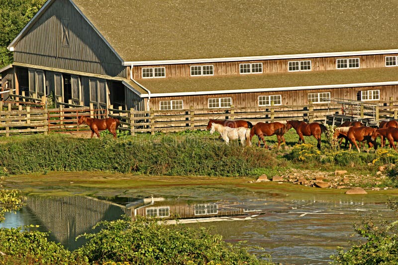 Large Living Room on the Horse Ranch Stock Photo - Image of ranch, idea ...