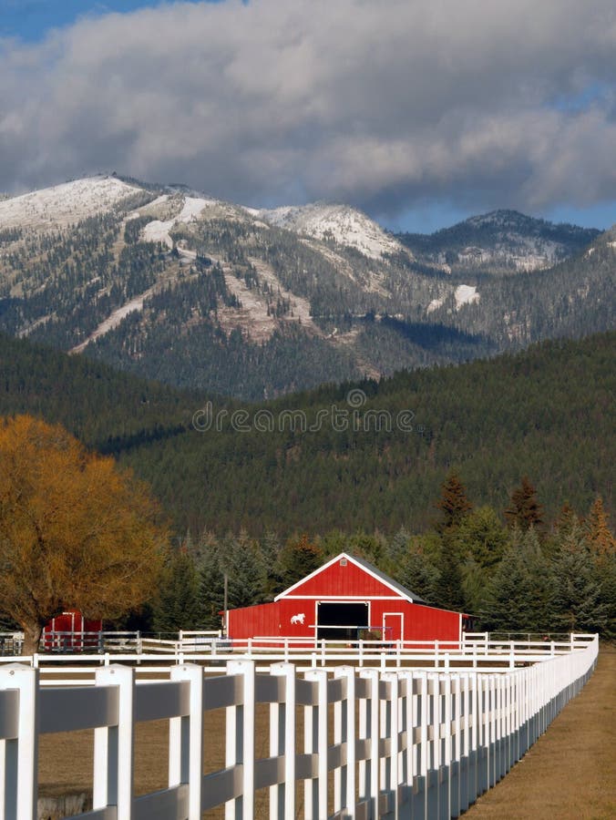 Horse Ranch and Mountains stock photo. Image of skiing - 7529652