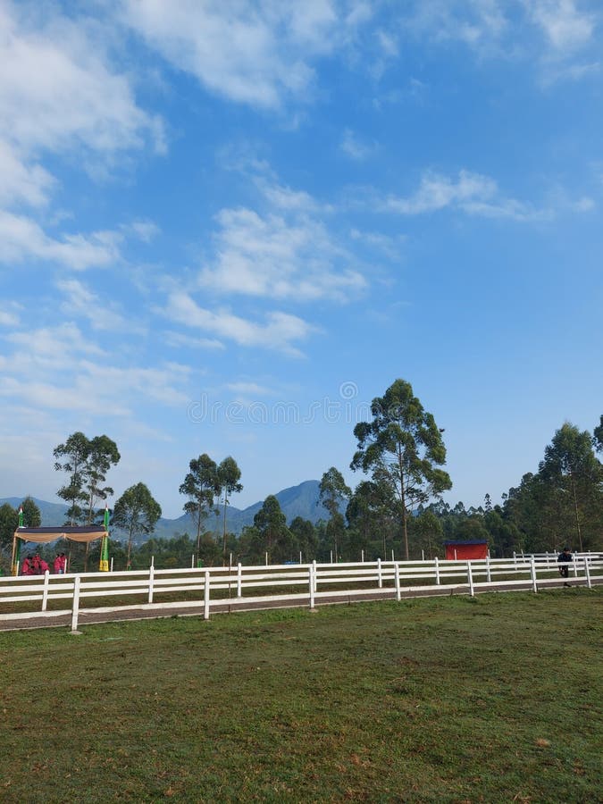 Horse Ranch One Sunny Morning Stock Image - Image of ranch, morning ...