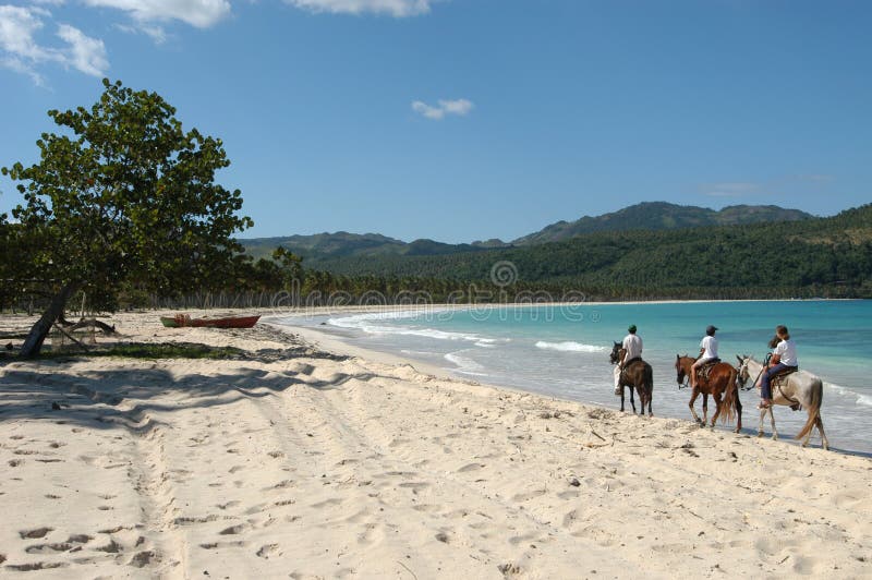 Horse Ride at Playa Rincon Peninsula De Samana Stock Photo - Image of ...