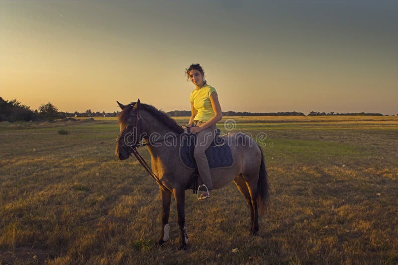 Horse rider stock photo. Image of nature, living, ridden - 1034384