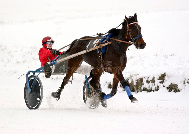 Horse and Trap Race stock image. Image of sport, race, wheel - 151943