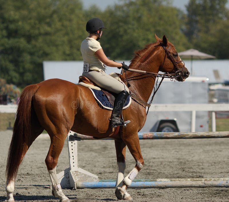 Horse And Rider Picture. Image: 1976878