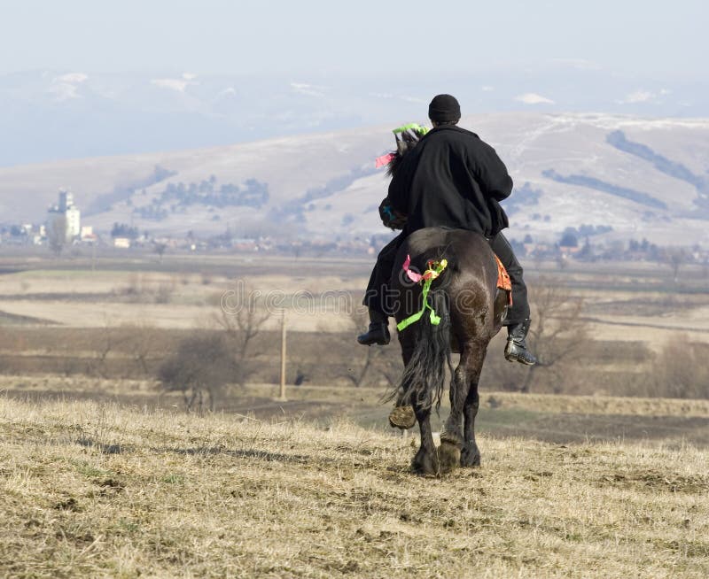 Horse rider stock photo. Image of stallion, thoroughbred - 1991926