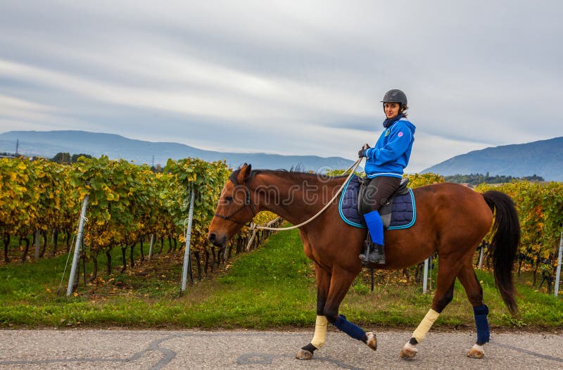Horse Rider editorial photo. Image of nature, leisure - 27153866