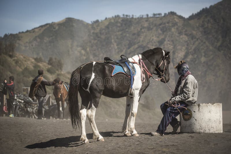 Horse Rider on Desert Near Bromo Mountain Java ,Indonesia Editorial ...