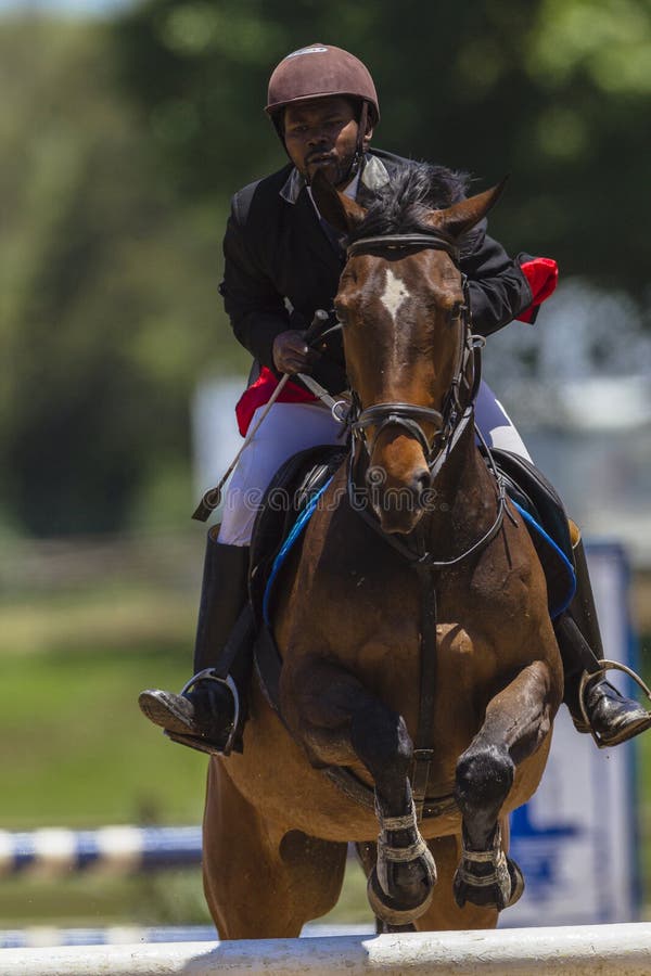 Horse Rider Jump editorial stock photo. Image of jumping - 27656628
