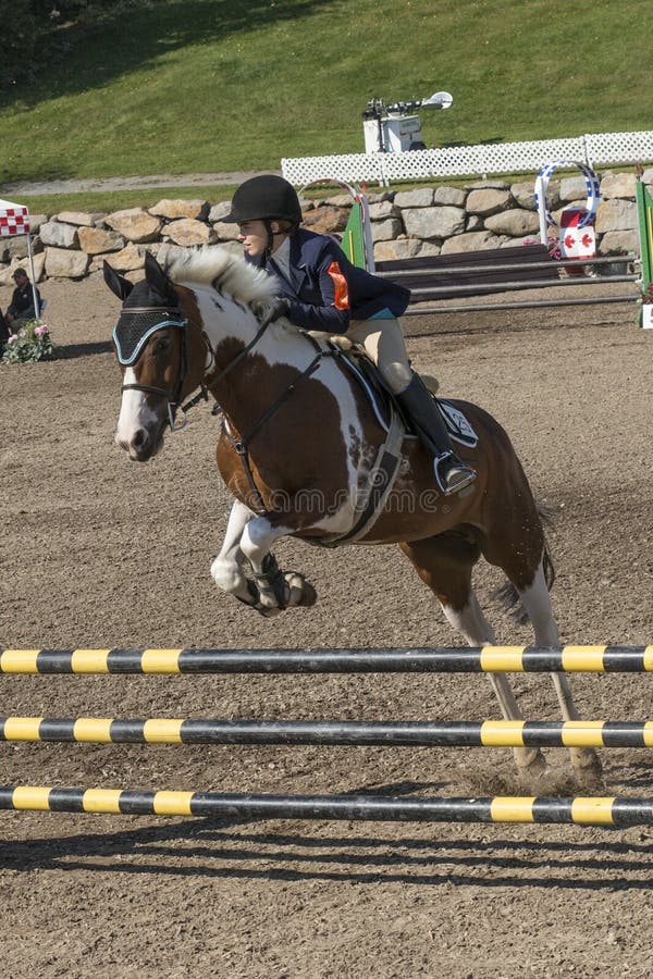 Horse with Rider Making a Jump Editorial Photography - Image of centre ...