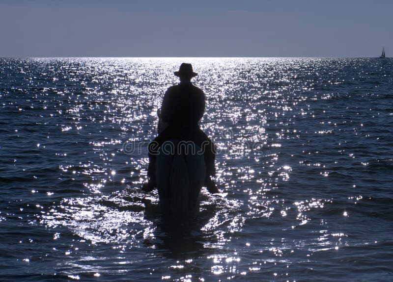Horse rider in the sea stock image. Image of riding, white - 78321115