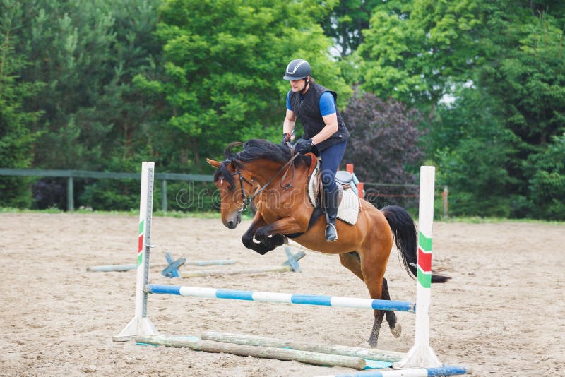 Horse Rider is Training in the Arena Stock Image - Image of equestrian ...